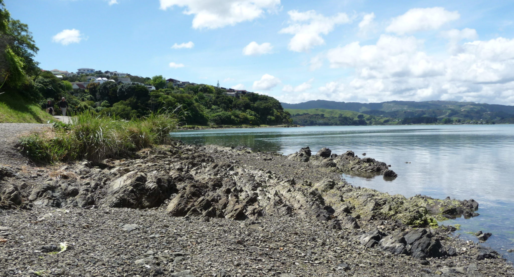 Geology – Guardians of Pāuatahanui Inlet