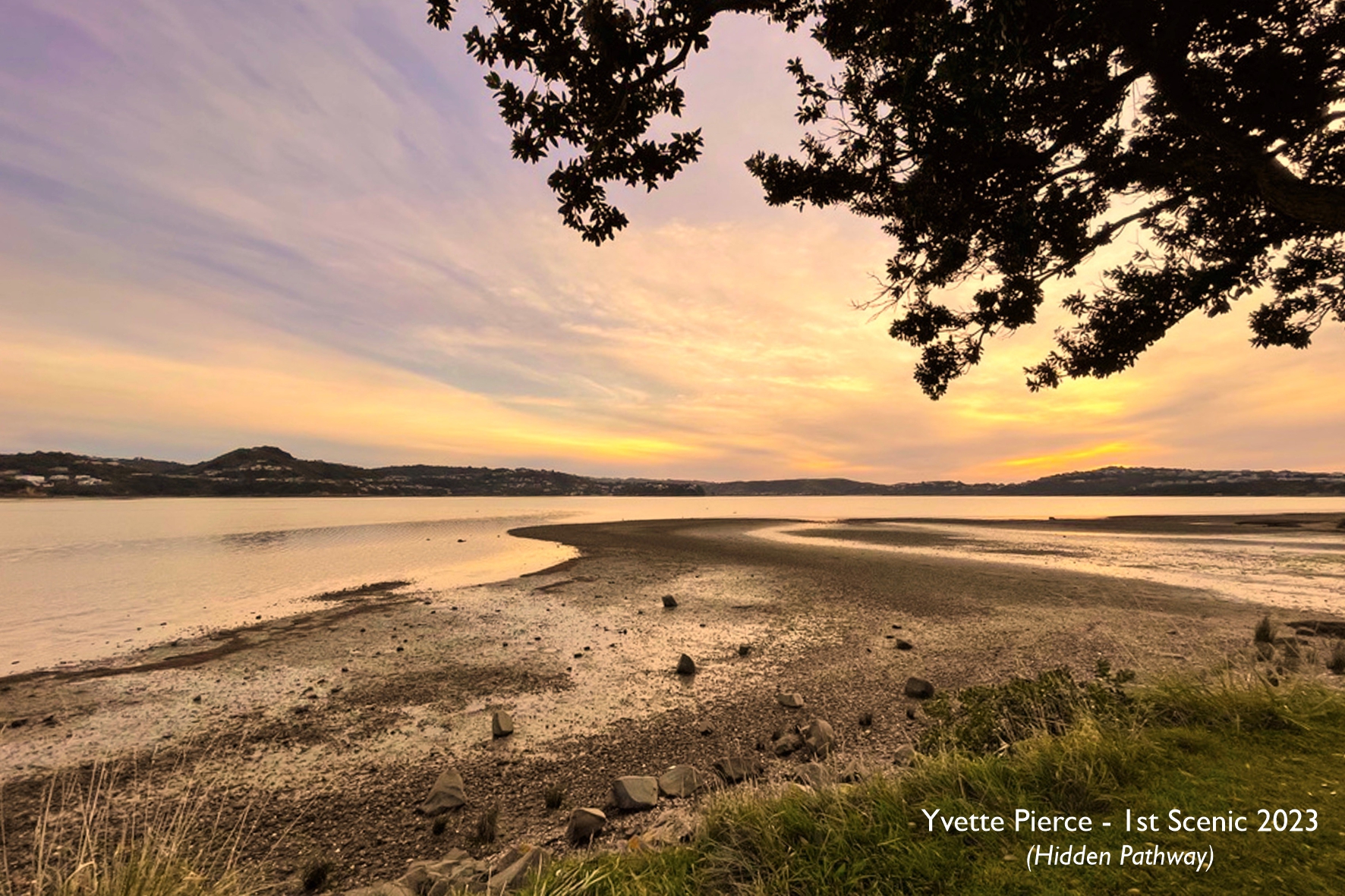 Photographic Competitions – Guardians of Pāuatahanui Inlet