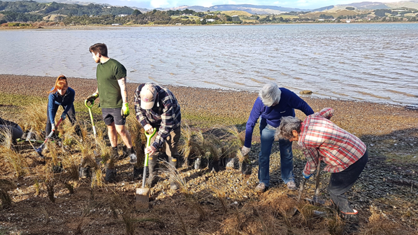 Restoration Planting – Guardians of Pāuatahanui Inlet